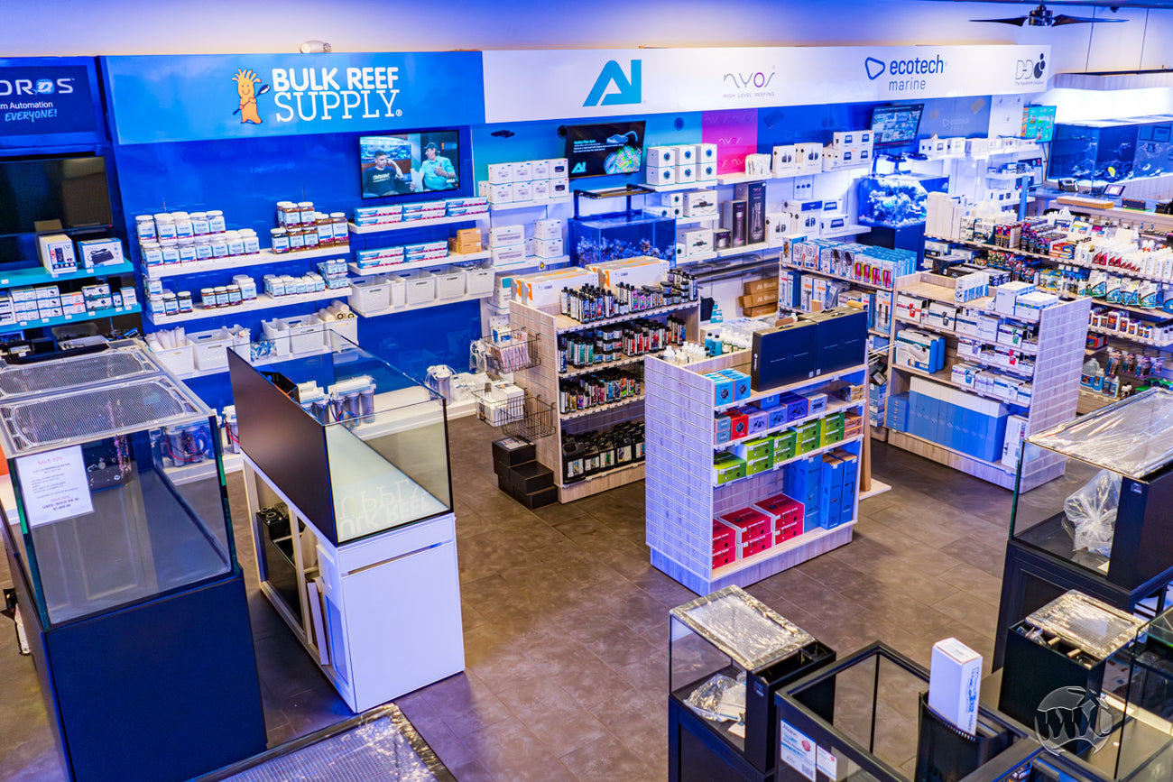 World Wide Corals Superstore | Orlando Aquarium Store