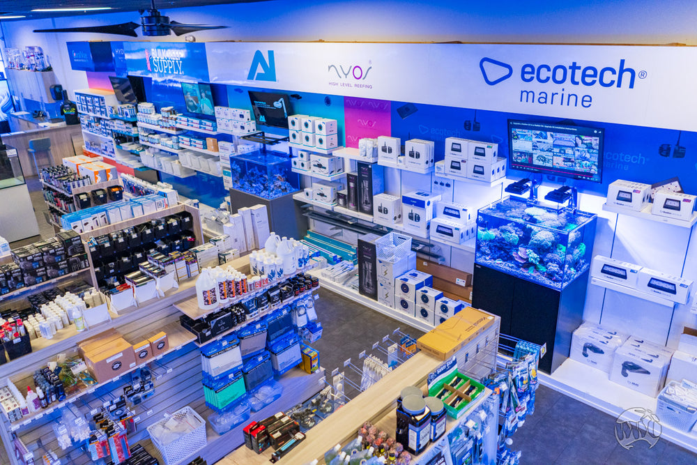 World Wide Corals Superstore | Orlando Aquarium Store