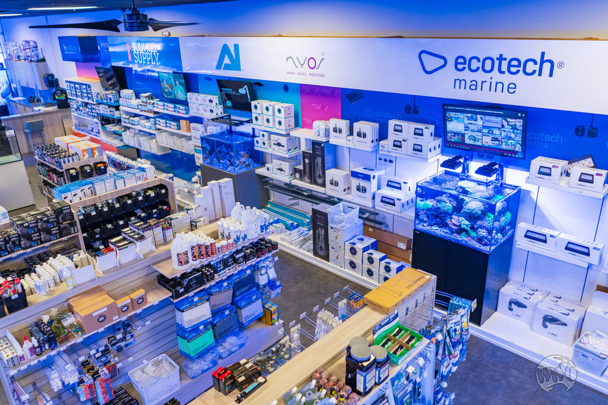 World Wide Corals Superstore | Orlando Aquarium Store