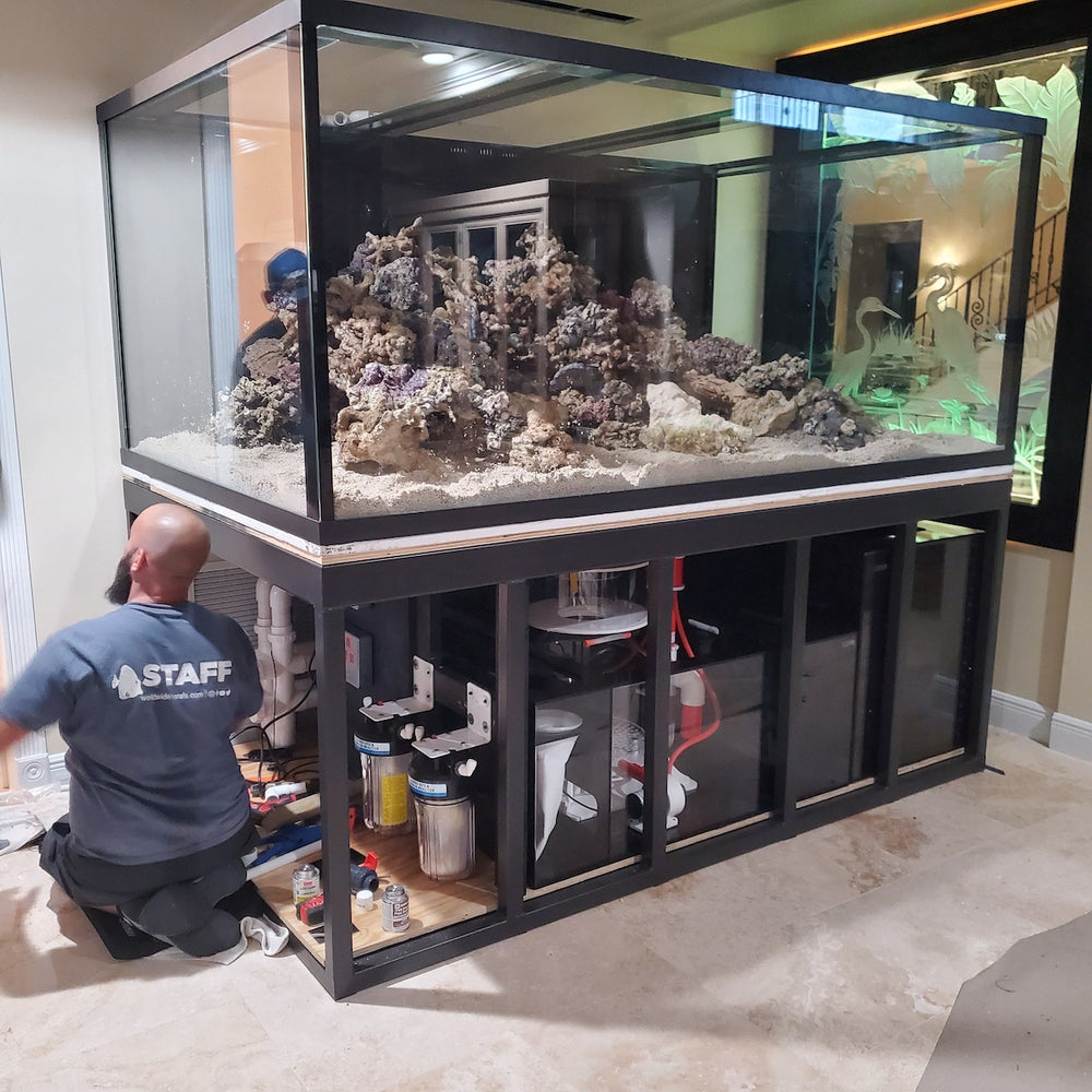 Professional Aquarium Maintenance Services in Orlando, FL