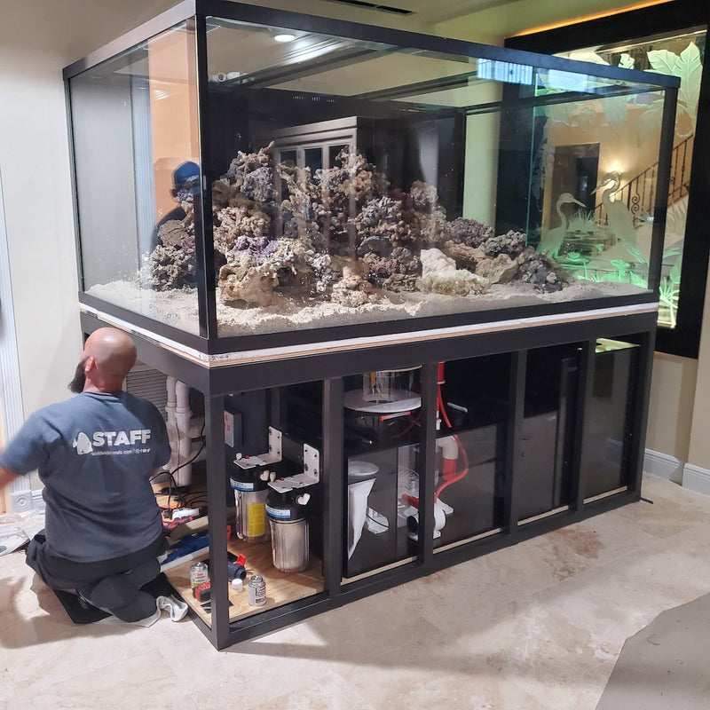 Professional Aquarium Maintenance Services in Orlando, FL