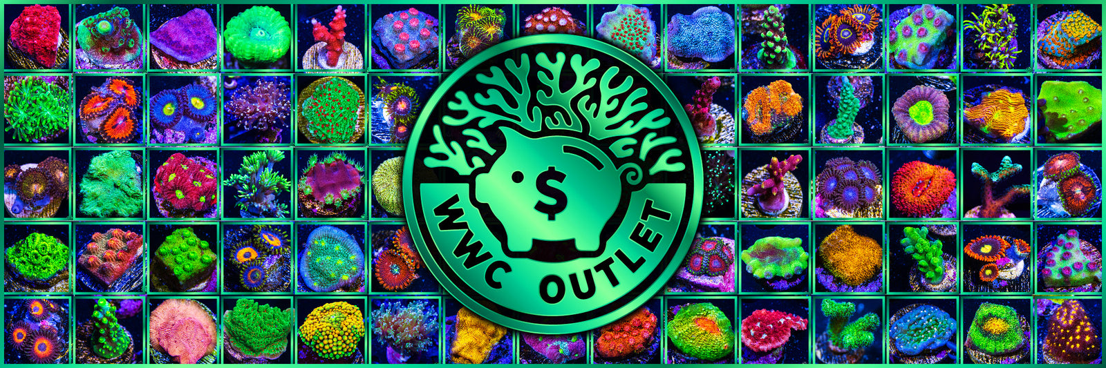 Buy Corals, Supplies, Fish and Inverts for your Reef Tank.
